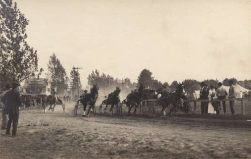 Harness Racers at Race Track Real Photo - Horse Harness Racing - Sports ...