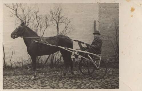 Harness Racer before Start Real Photo - Horse Harness Racing - Sports ...
