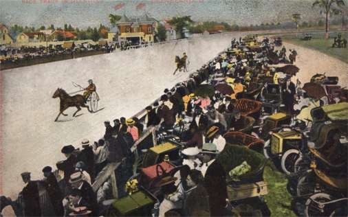 Harness Racer at Race Track Cleveland OH | VintagePostcards.com ...