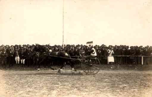 Harness Racer Close to Finish Real Photo | VintagePostcards.com ...