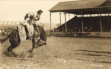 McCoy Cowboy Rodeo Real Photo - Animals - Vintage Postcards ...