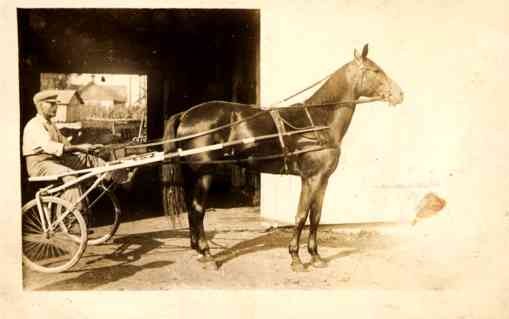 Harness Racing Jockey Real Photo - Real Photo - Vintage Postcards ...
