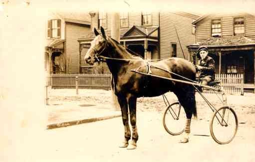 Harness Racer Real Photo - Real Photo - Vintage Postcards ...